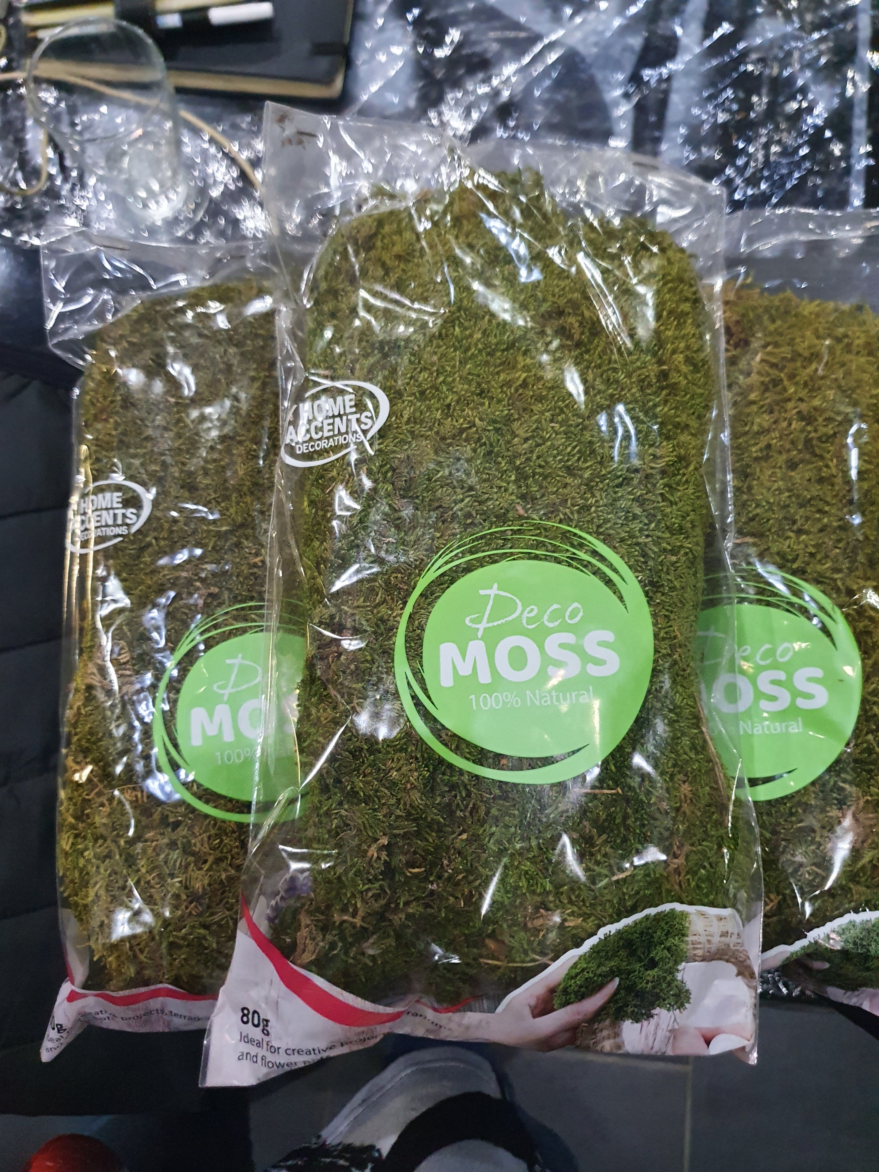 Mousse décorative. – lands snail 02